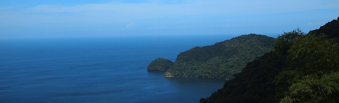 Trinidad and Tobago: Reverse Phone Lookup | Phone Number Search 1